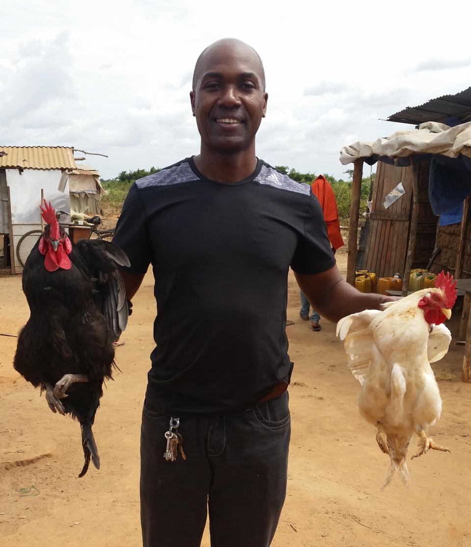 African Chicken 2017 – Mentor Capital Network